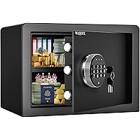 SentrySafe Fireproof and Waterproof Safe Box with Key Lock, Fire and ...