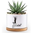 Amazon.com : Personalized Initial Letter Planter Gifts for Women ...