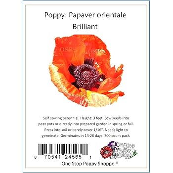 Amazon.com : 200 Oriental Poppy Flower Seeds. Brilliant Poppies. One ...