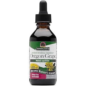 Amazon.com: Herb Pharm Oregon Grape Root Extract - 1 Ounce: Health ...