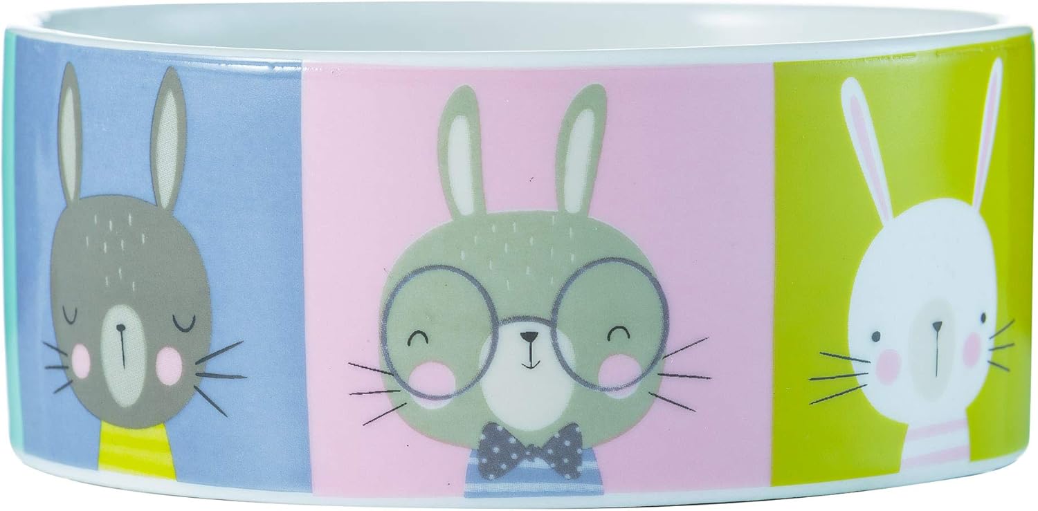 Mason Cash Pawtrait Rabbit Bowl 12x5cm, One Size – BigaMart