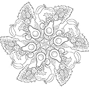 Fruit Mandala - Coloring Book for Adults: 30 nature designs made of ...