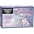 Amazon.com: Magnetic Poetry - Goddess Poet Kit - Words for Refrigerator ...