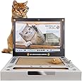Amazon.com : 3-in-1 Laptop Scratcher with Interactive Plush Mouse Cat ...