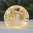 Amazon.com: Snowman and Cardinal Frosted Globe Nightlight - 6" D Table ...