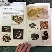 Complete Ball Python, A Comprehensive Guide to Care, Breeding, and ...