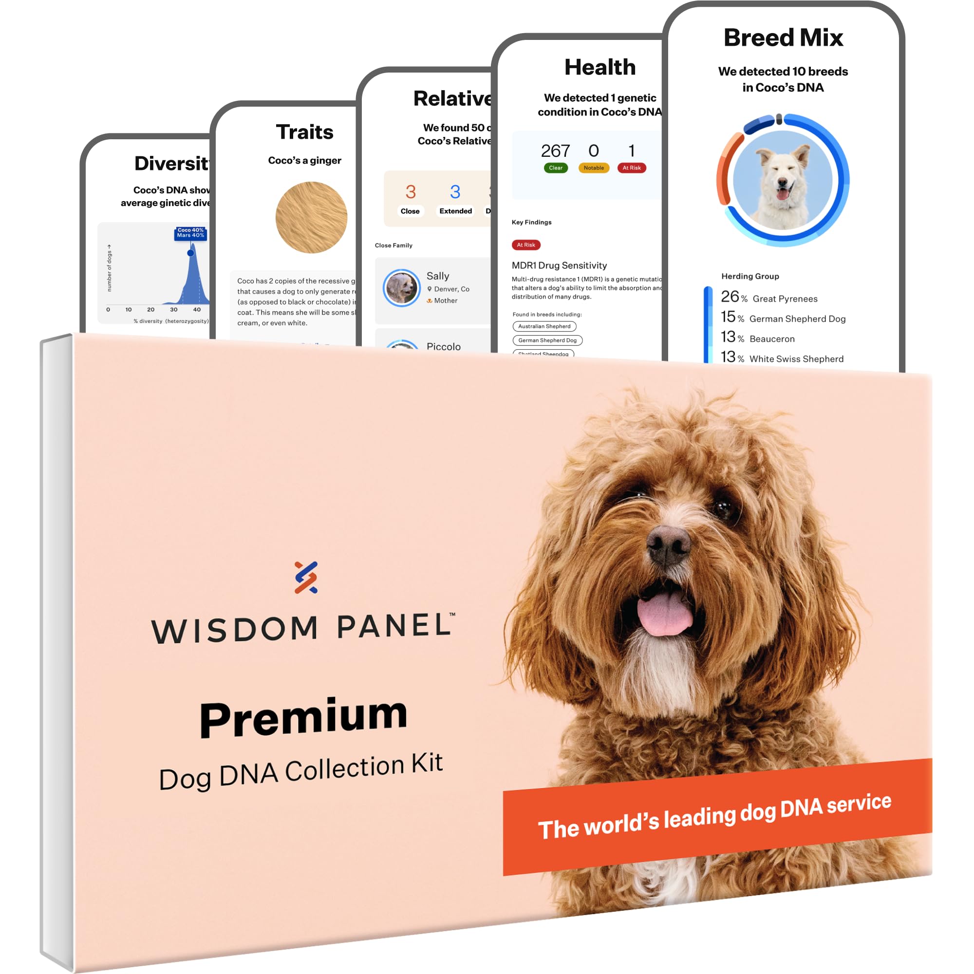 Mua Wisdom Panel Premium Dog DNA Kit: Most Comprehensive with 265 ...