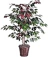 Amazon.com: Vickerman 4-Feet Artificial Mango Bush in Decorative Rattan ...