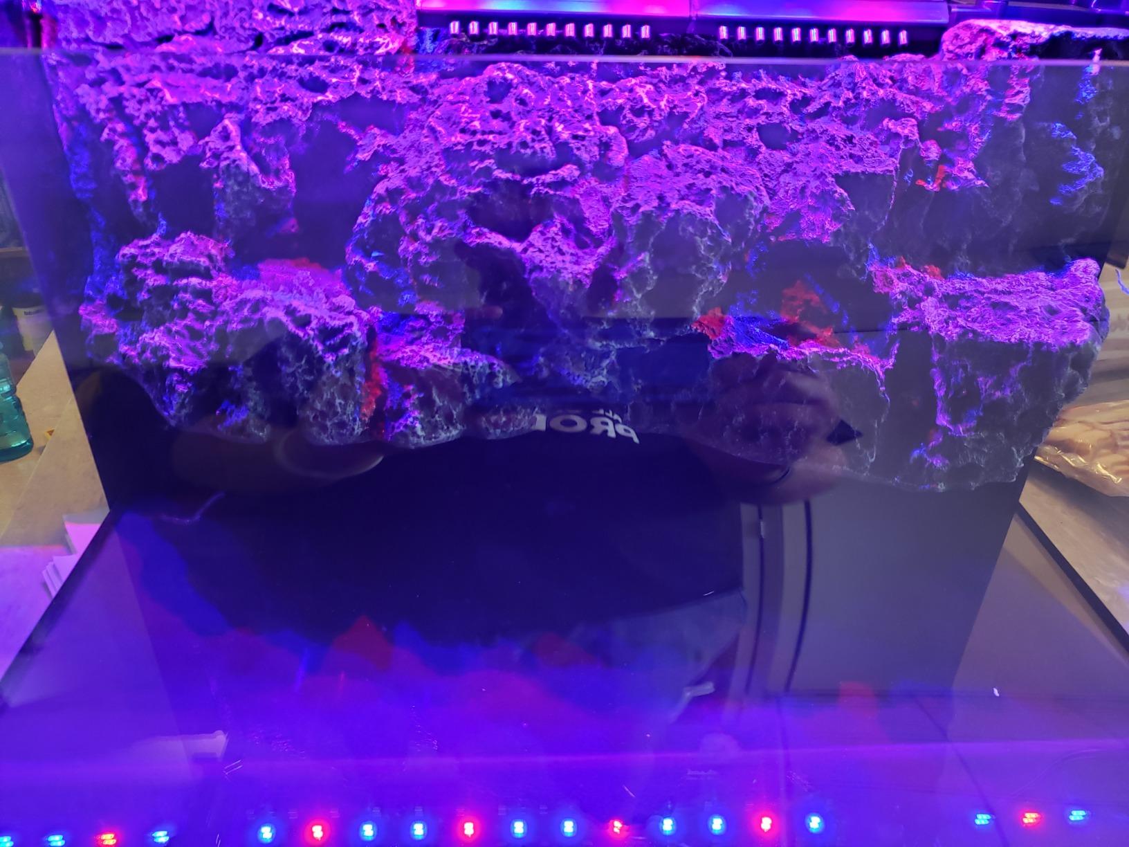 $24/mo - Finance Hygger Horizon 8 Gallon LED Glass Aquarium Kit for ...