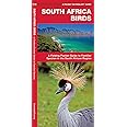 South Africa Birds: A Folding Pocket Guide to Familiar Species in the ...
