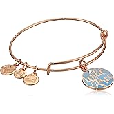 Amazon.com: Alex and Ani Words are Powerful, Joy to The World Bangle Bracelet, Shiny Gold ...
