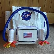 NASA (National Aeronautics and Space Administration) Logo Iron on Sew ...