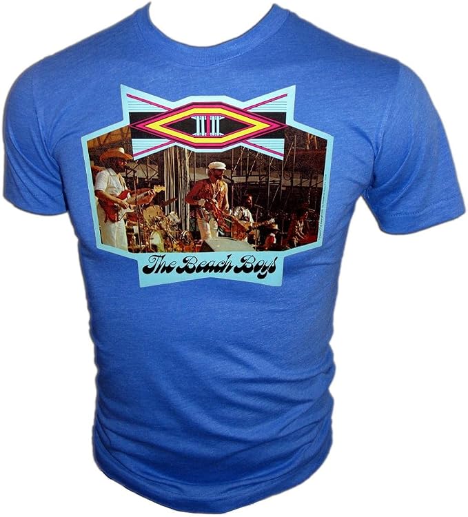 Amazon.com: Vintage 1976 Brian Wilson The Beach Boys Endless Summer ...