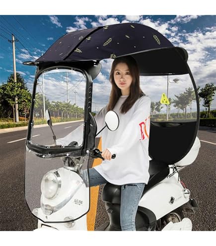 3 Wheel Scooter For Adults Fully Enclosed Motor Scooter Umbrella ...