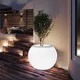 Amazon.com: Enhance Your Home Decor with a Waterproof LED Colorful ...