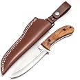 Amazon.com : Regal Edge Knives Bushcraft Knife Full Tang, 9-Inch High ...