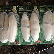 Amazon.com : (3 Pack) Living World Cuttlebone, Large, 6 Total ...