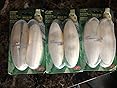 Amazon.com : (3 Pack) Living World Cuttlebone, Large, 6 Total ...