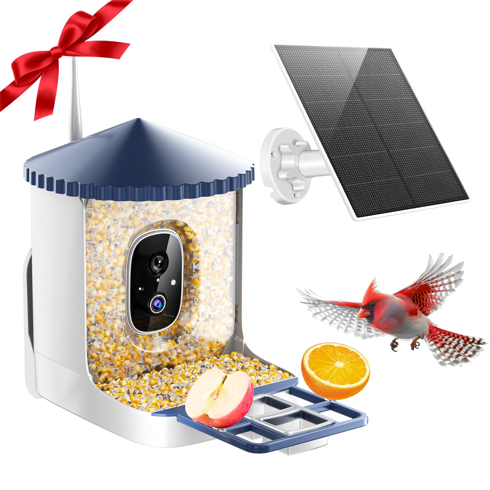 SOLIOM BF02 Bird Feeder with Camera Wireless Outdoor, 2K HD Wild Bird ...