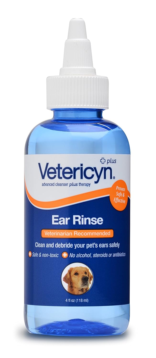 How to Clean French Bulldog Ears - All About Frenchies [dot] com