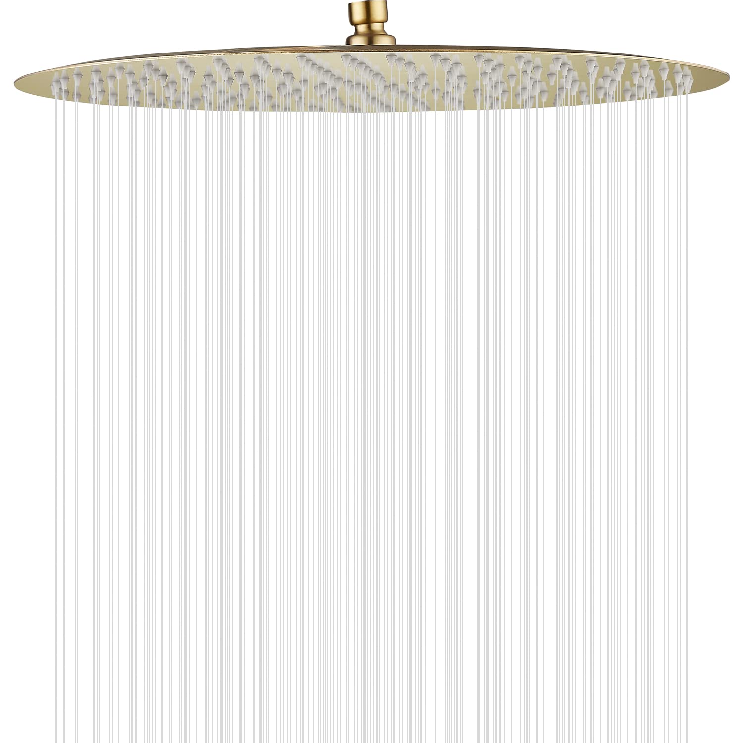 GGStudy High Pressure Round Shower Head 12 Inches Large Stainless Steel ...