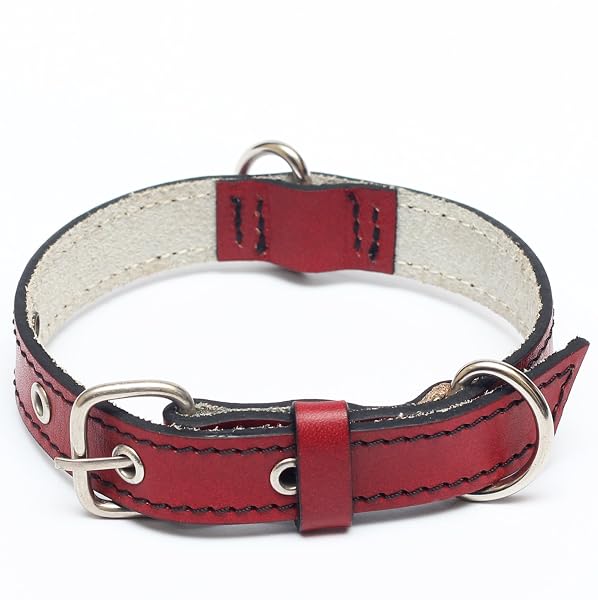Red Leather Dog Collar | Small Wags