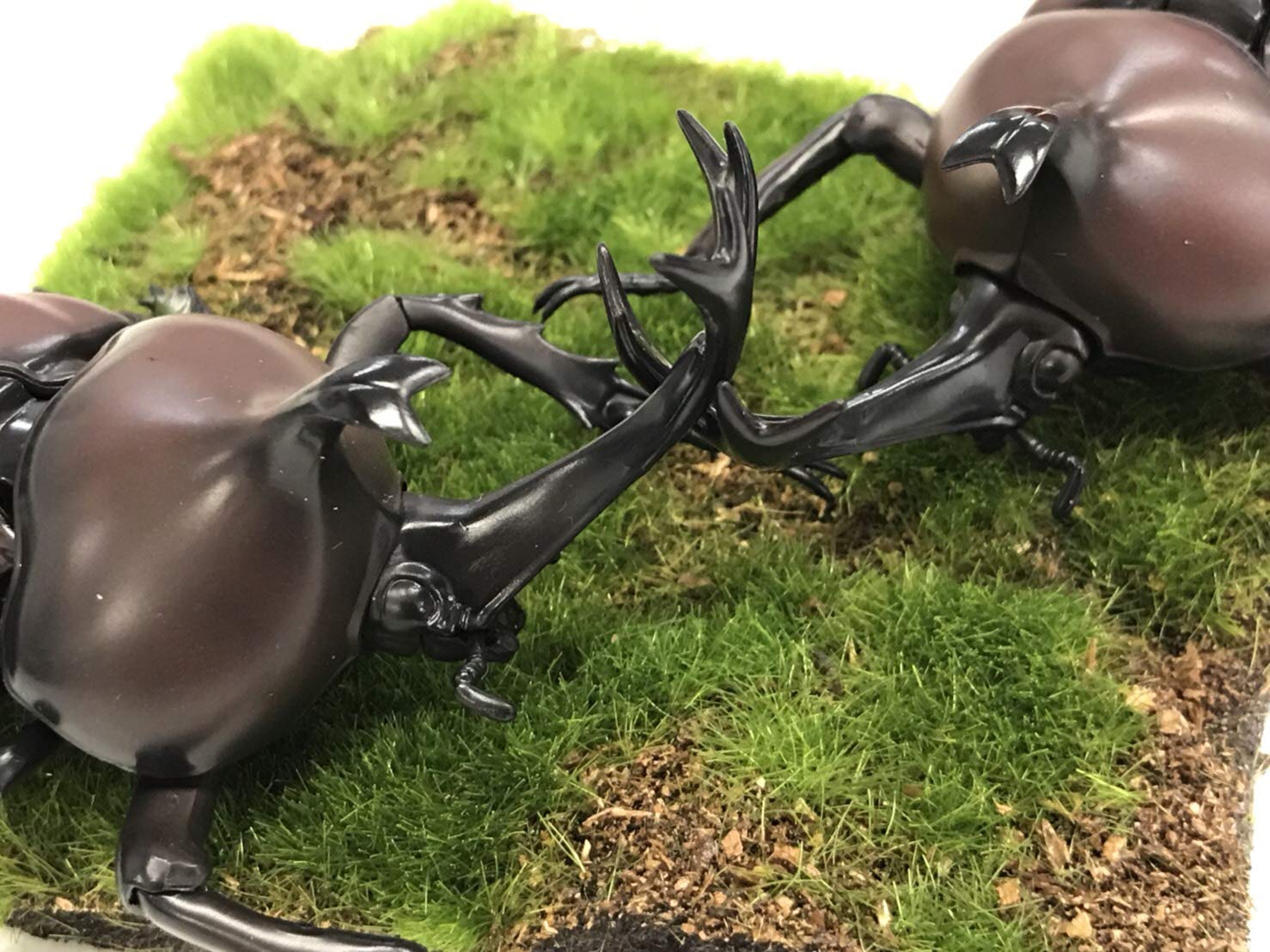 Mua Free Research Series No.21 Ikimono Hen Beetle Plastic Model trên ...