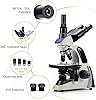 Swift Compound Trinocular Microscope SW380T,40X-2500X Magnification,Siedentopf Head,Two-Layer ...