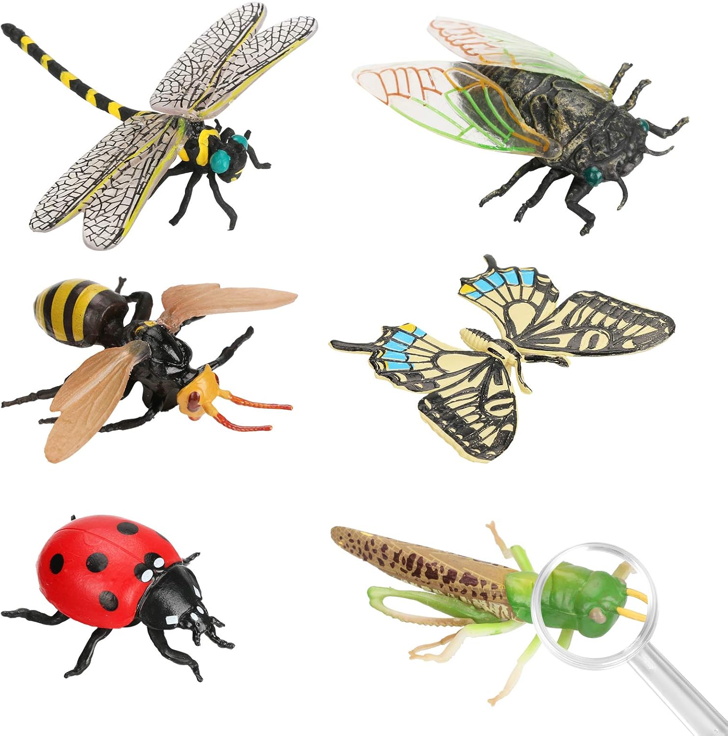 Achort Mini Insect Animal Toy 6Pcs Kids Realistic Insect Figure Toys ...