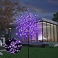 Amazon.com : LED Solar Lighted Cherry Blossom Tree,6Ft Light up Cherry ...