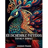 Amazon.com: 101 Incredible Patterns | An Easy Mindfulness Coloring Book ...