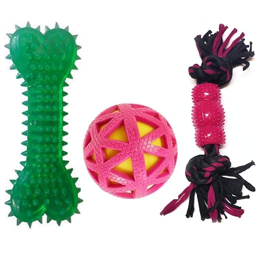 Buy Petlicious & More Puppy Squeaky Ball Spike Bone Toy Two Knot ...