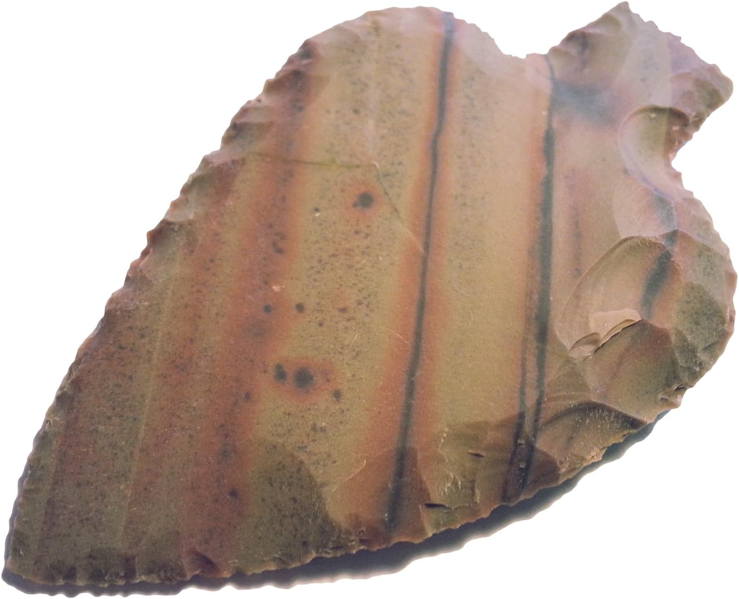Arrowhead Leaf Shaped (reproduction): Amazon.co.uk: Sports & Outdoors