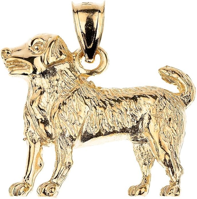 Amazon.com: Polished 14k Yellow Gold Labrador Retriever Dog Charm ...