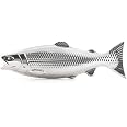 Amazon.com: Kikkerland Fish Magic Soap