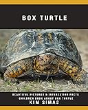 Box Turtle at Long Pond: William T. George, Lindsay Barrett George ...
