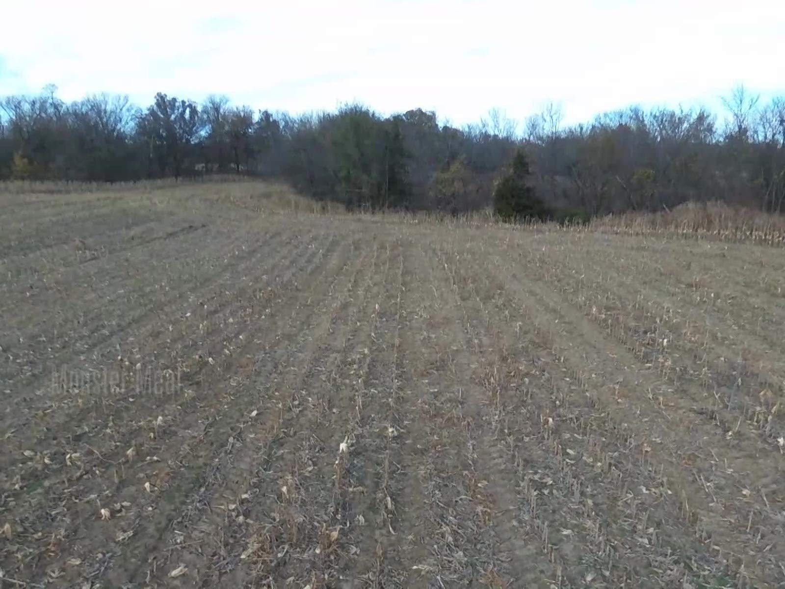 Watch Red Rising TV - Season 3 | Prime Video