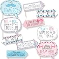 Amazon.com: Funny Chevron Gender Reveal - Baby Shower Photo Booth Props ...