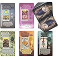 Amazon.com: Witchy Cauldron Beginner Tarot, Tarot Cards with Meaning on it, Keyword Tarot Deck ...