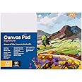 Amazon.com: Oil Painting Canvas Pad for Beginners Practice 280GSM 10 ...
