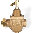 Amazon.com: DearChan 1/2 in Bronze Tubular High Capacity Boiler Feed ...