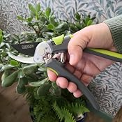 Davaon Pro Geared Secateurs Set in Box - 20% Less Effort Anvil Bypass ...