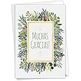 Amazon.com : NobleWorks - 1 Spanish Thank You Card with Envelope ...