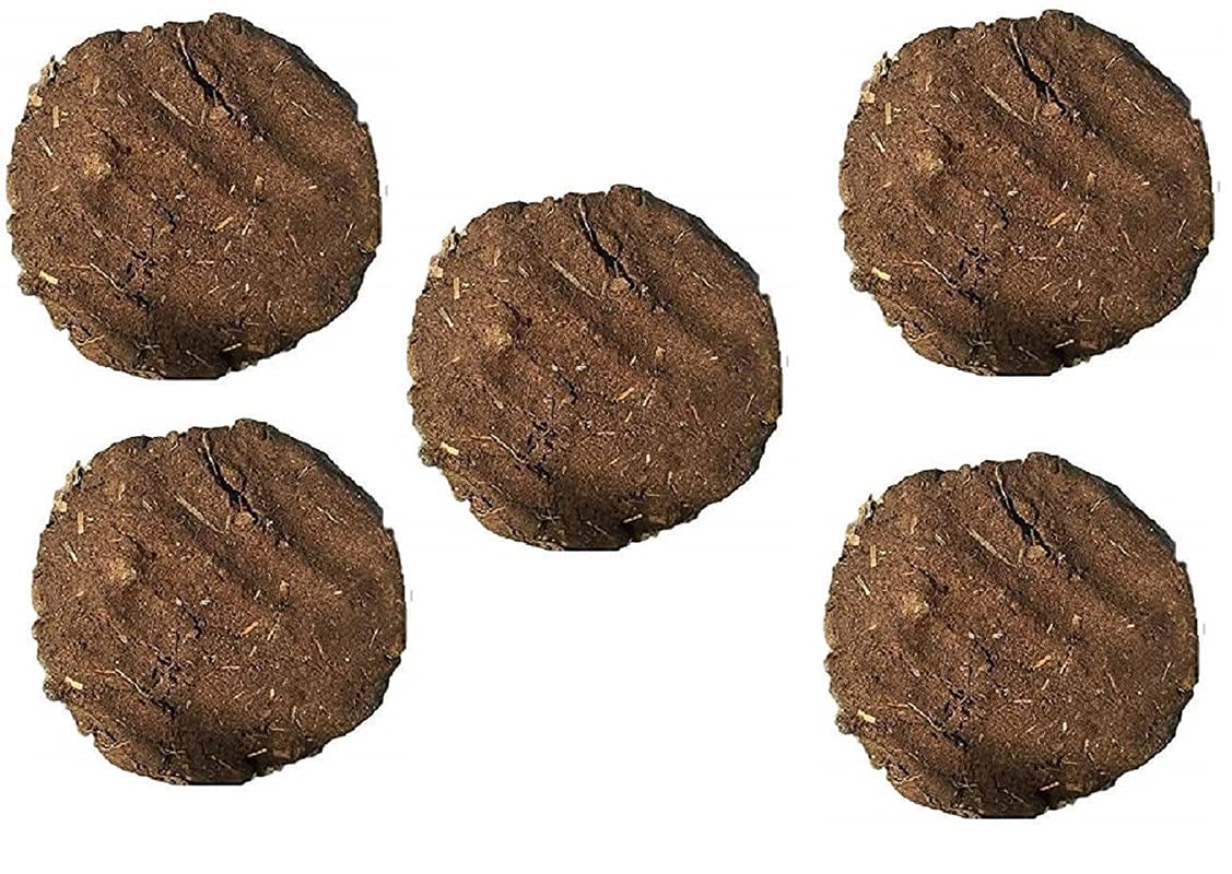 Buy Fascino Cow Dung Cake | Gober upla Erthrware Havan | Pooja Samagri ...