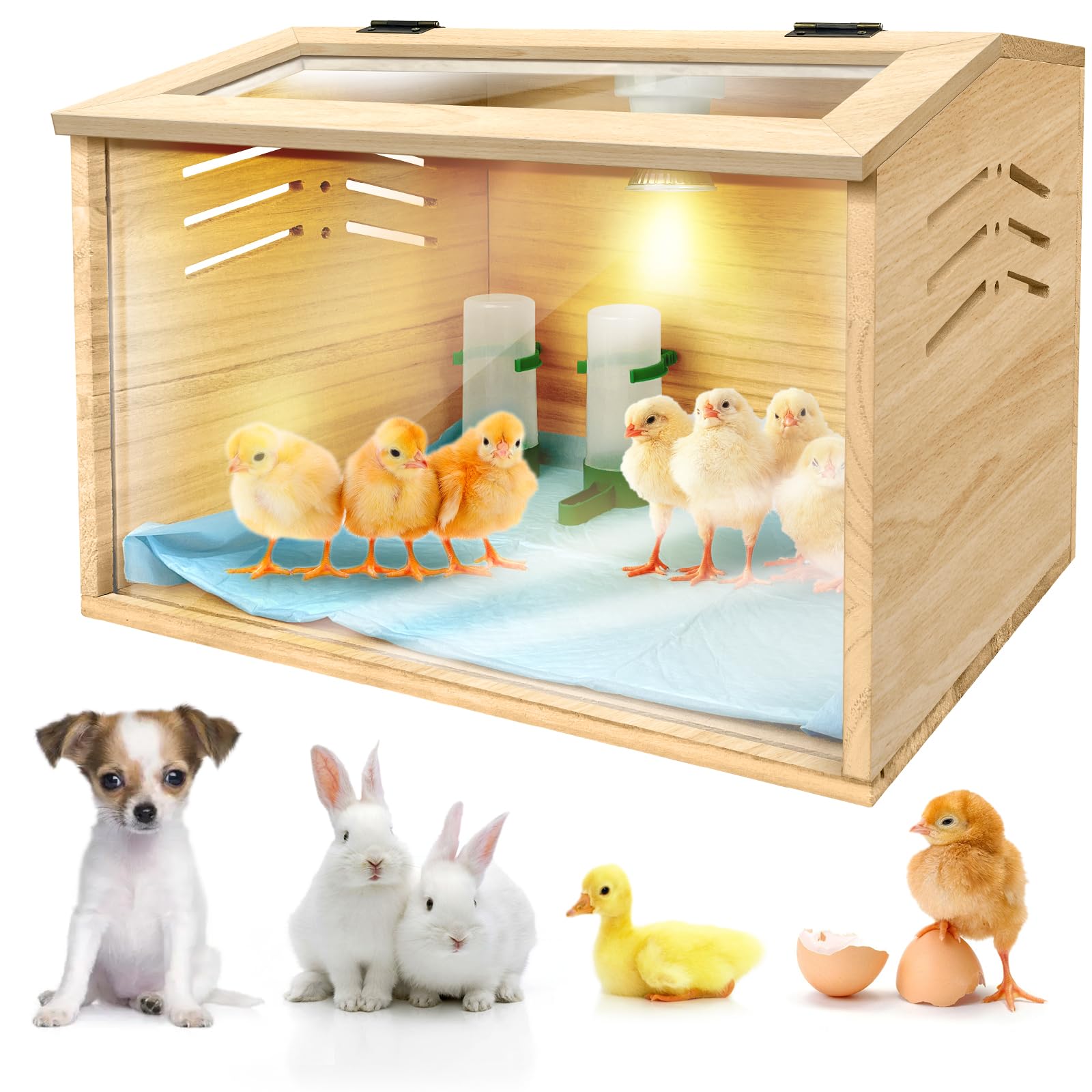 Chicken brooder Box,Chick brooder,brooder Box for Chicks,Small Chicken ...