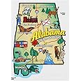 Amazon.com - Alabama - State Map Outline Vinyl Sticker
