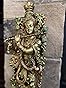 Amazon.com: eSplanade - Lord Krishna Kishan Gopal Murti Idol Statue ...