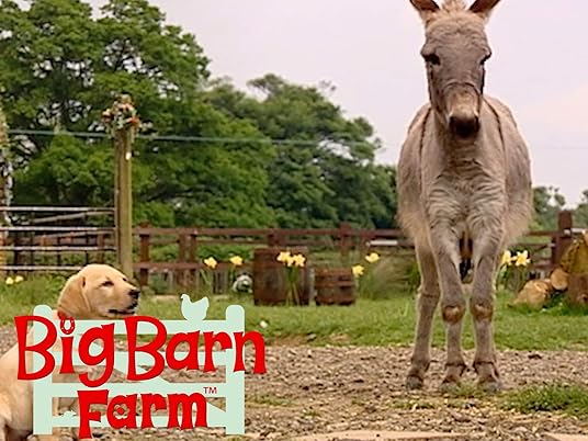 Watch Big Barn Farm | Prime Video
