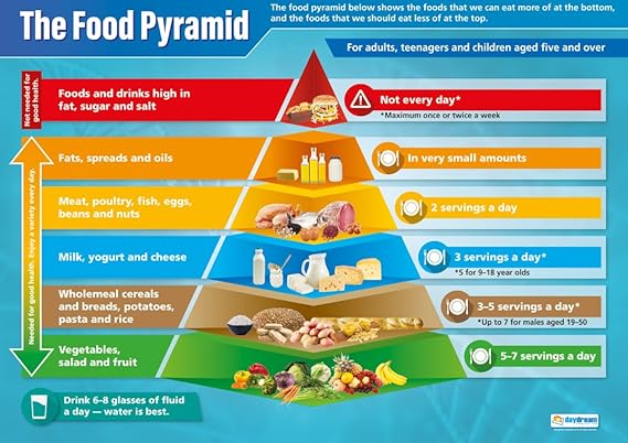 Food Pyramid | Science Posters | Laminated Gloss Paper measuring 850mm ...