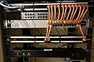 Amazon.com: Cable Matters Rackmount or Wall Mount 24-Port Shielded RJ45 ...